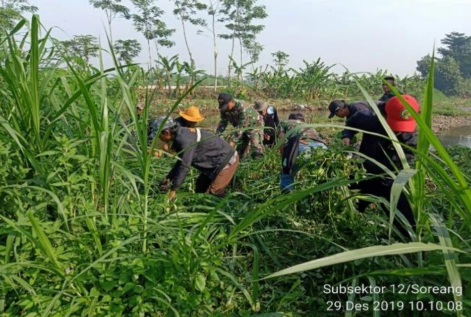 Satgas Citarum Sektor 21-12 Karbak di Aliran Anak Sungai Ciwidey Kampung Pangauban - EDUPUBLIK JABAR
